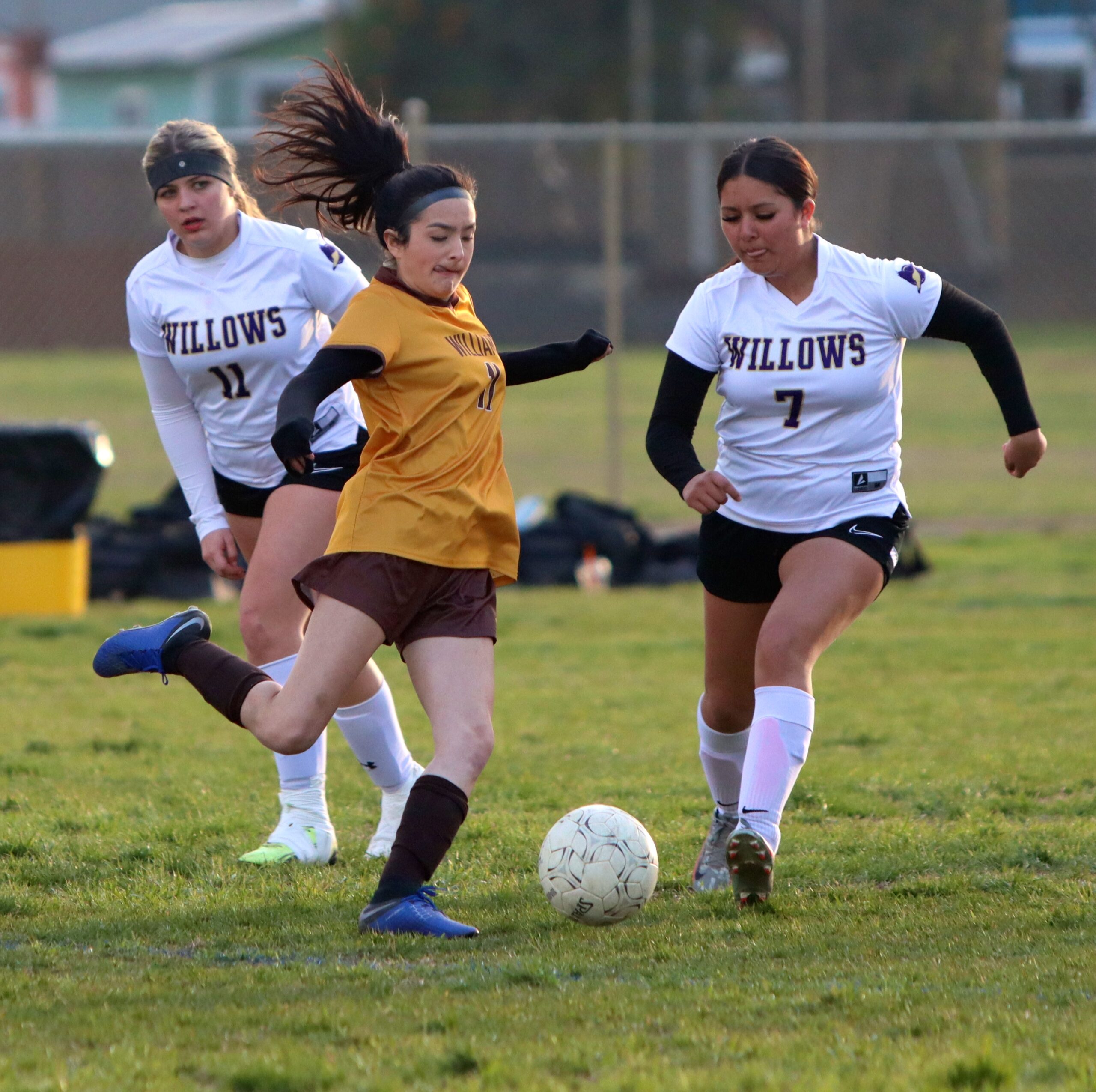 Colusa County Pioneer Review - Lady ‘Jacket soccer survives scare ...