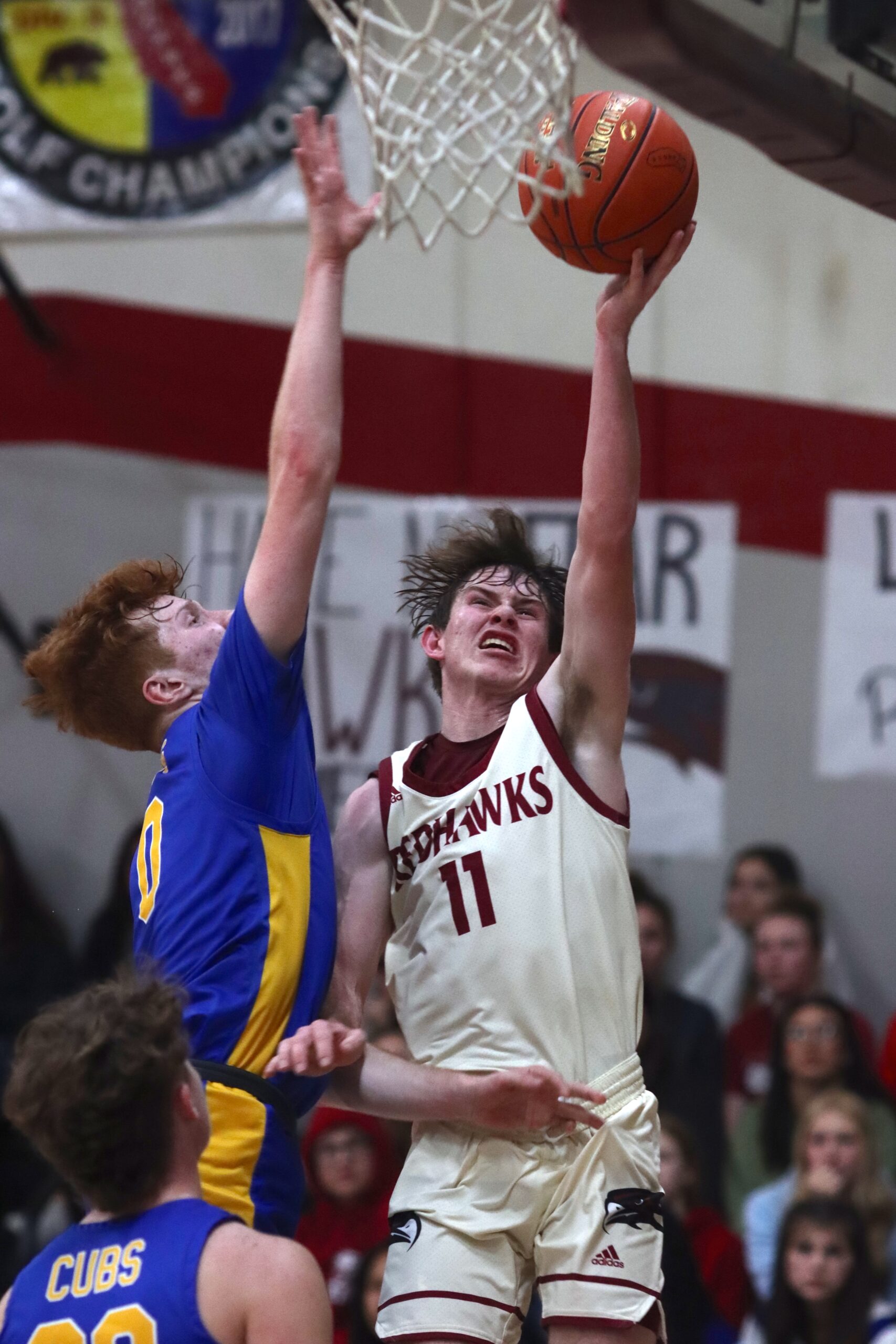 RedHawks down Anderson to advance in D4 playoffs | Colusa County ...