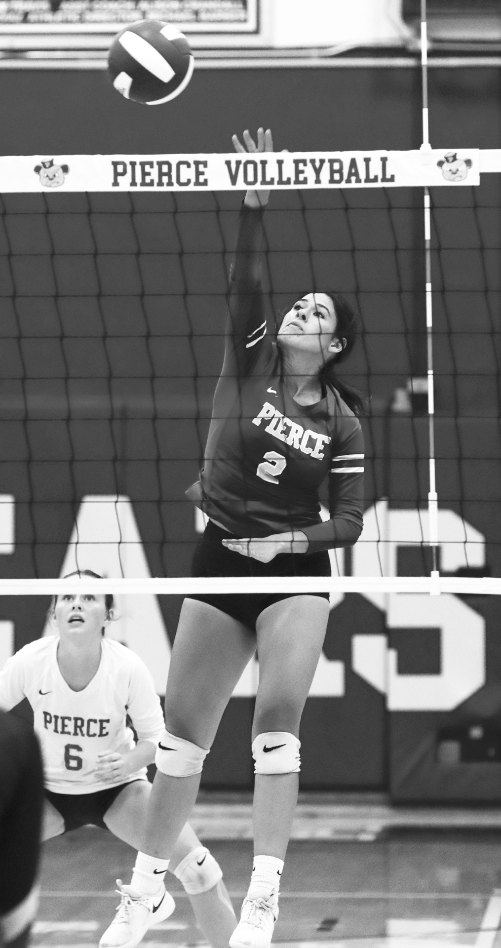 Volleyball Roundup: Pierce Bears | Colusa County Pioneer Review